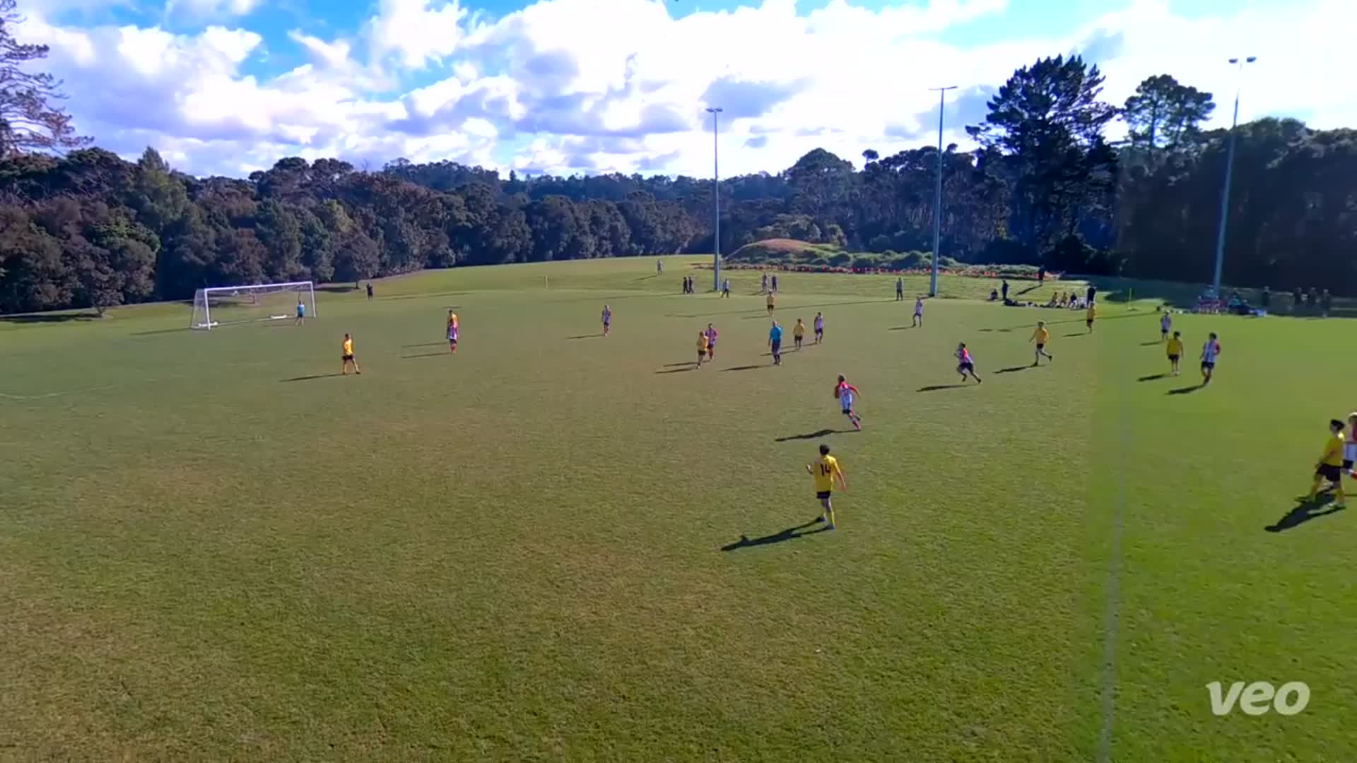 Ellerslie Football AFC - Arsenii Serafin highlights - Hudl